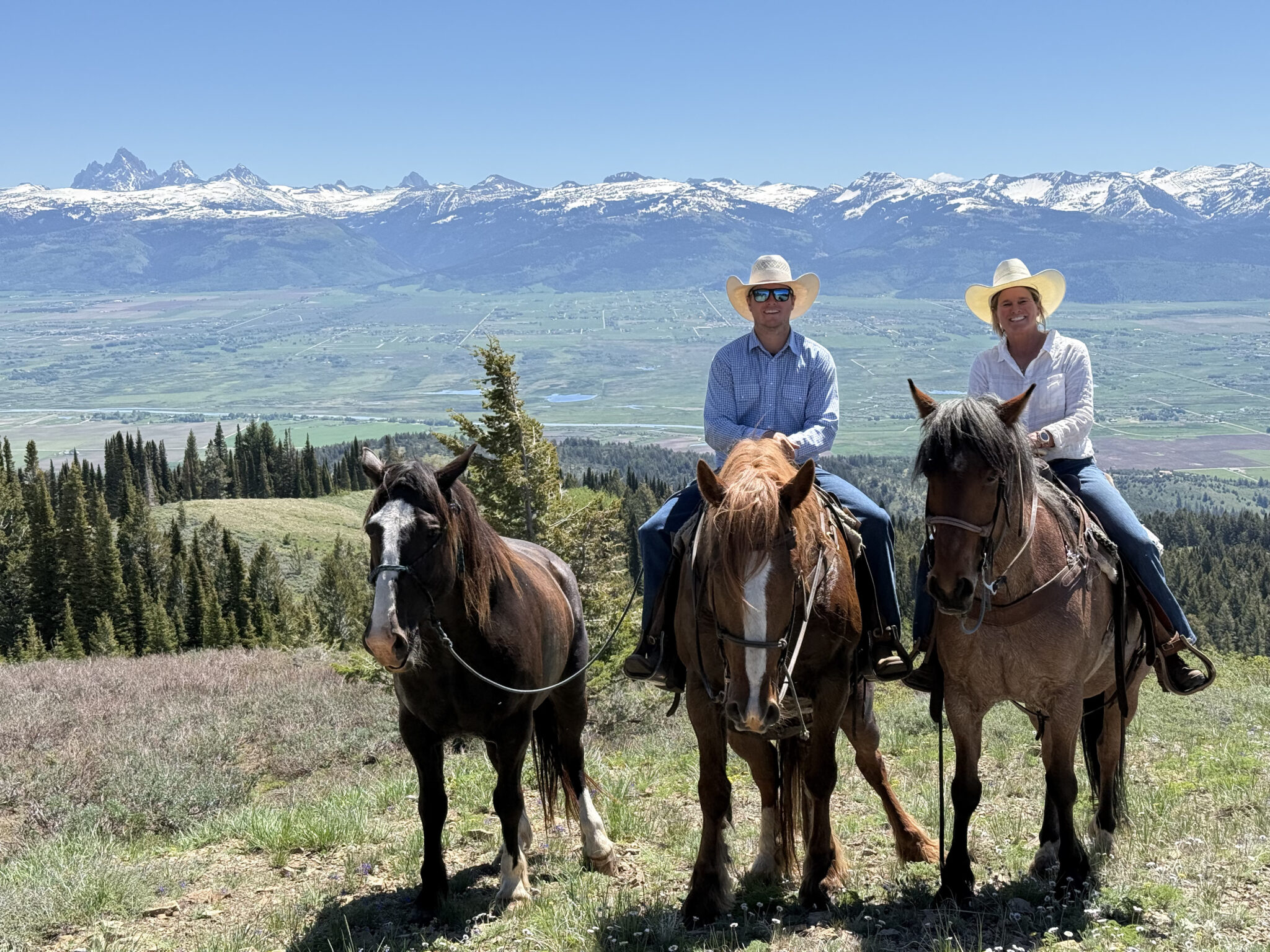 Teton Mountain Ranch - Elk Tours, Cabins, Horse riding near Driggs, ID